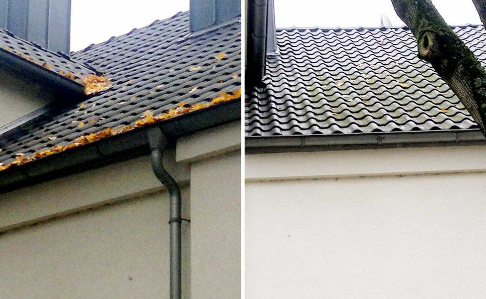 Dachrinnenreinigung Arbeitsbeispiele